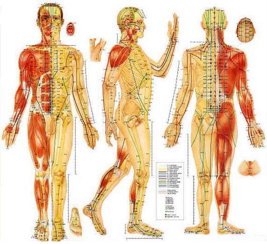 Acupuncture Pleasure Points Chart Smart Massage Relief Tens Unit Neurostimulator Instant